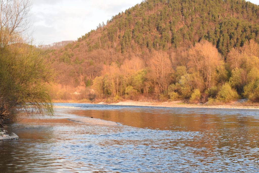 Reka Sava (od sotočja z Ljubljanico do mostu v Litiji) - Upravljavec ...
