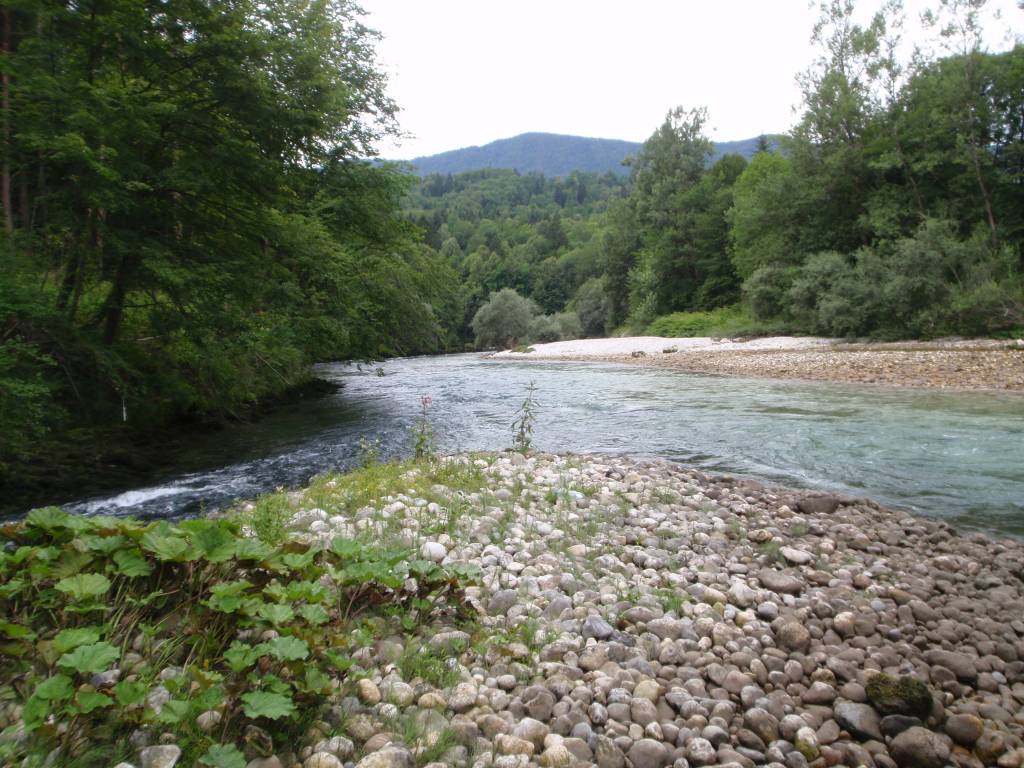 Reka Sava (od Rakovnika do potočka pred izlivom Tržiške Bistrice v Savo ...
