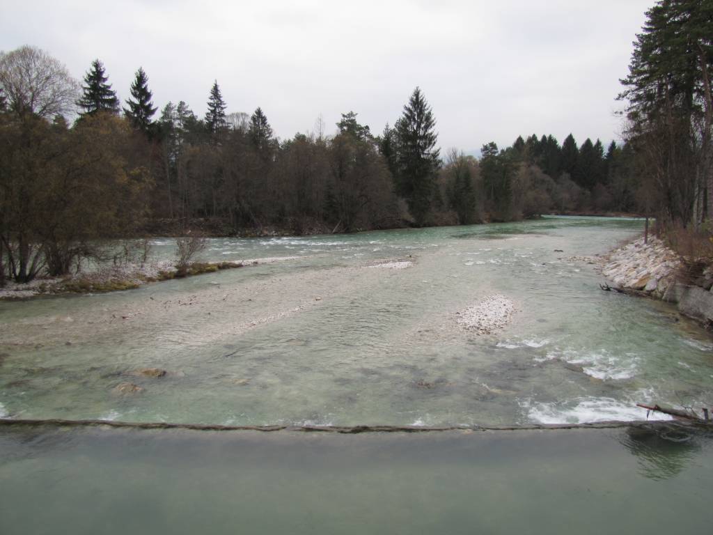 Reka Sava (Cajhnov jez do Rakovnik) - Ribiška družina Radovljica ...
