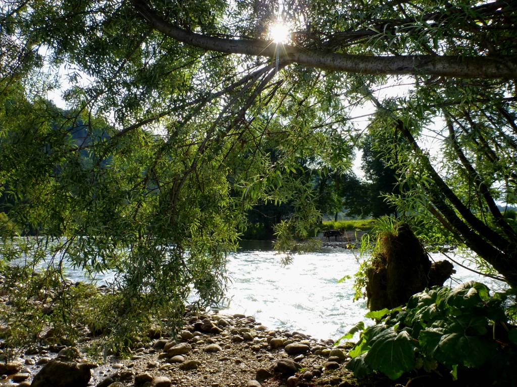Reka Sava (Cajhnov jez do Rakovnik) - Ribiška družina Radovljica ...