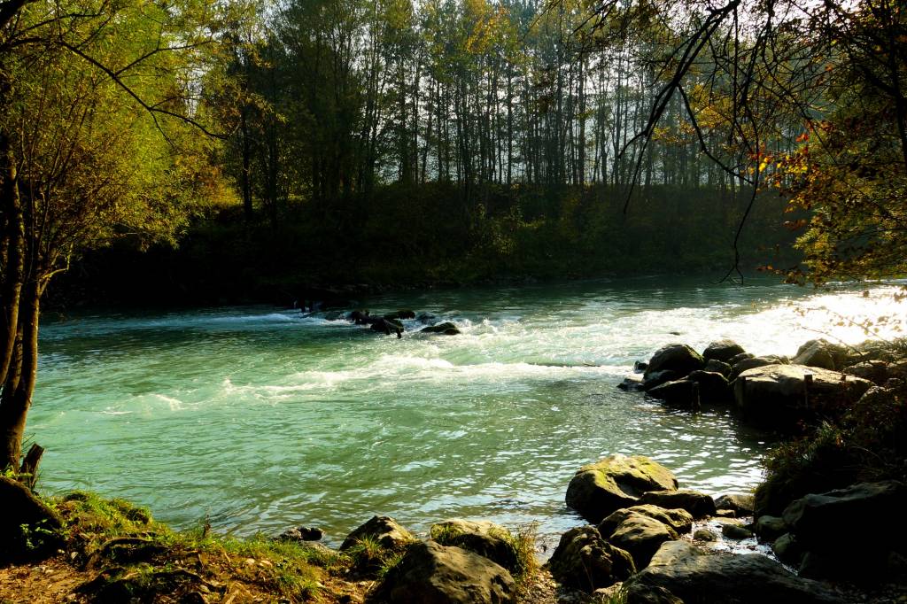 The Sava Dolinka river (from the barrier in Moste to the confluence ...