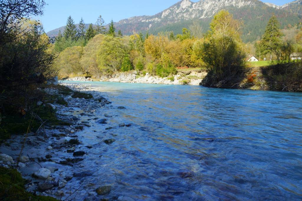 Sava Dolinka (von der Brücke in Podkoren bis zum Kiesdamm bei Javornik ...