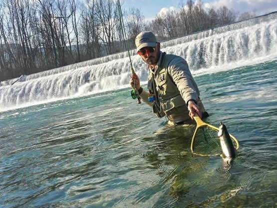Reka Savinja (od Letuškega mostu do Izliva Bolske v Savinjo) - Ribiška ...