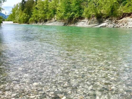 Reka Savinja (od Letuškega mostu do Izliva Bolske v Savinjo) - Ribiška ...