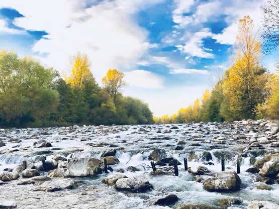 Reka Savinja (od izliva Bolske do mostu v Kasazah), kanal Podvinska ...
