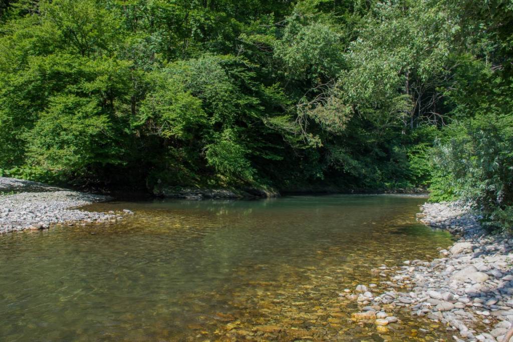 Reka Selška Sora (od soteske Konjski brod do Okornevega jezu nad ...