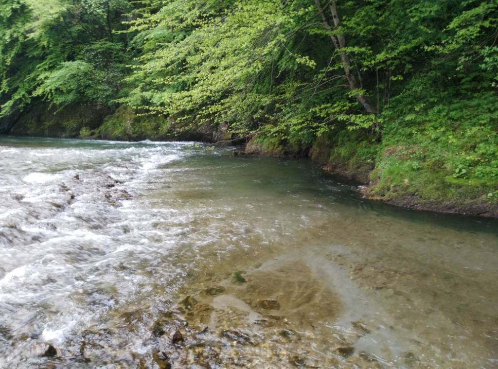 Reka Selška Sora (od soteske Konjski brod do Okornevega jezu nad ...