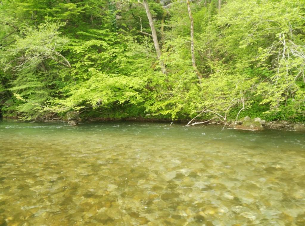 Reka Selška Sora (od soteske Konjski brod do Okornevega jezu nad ...