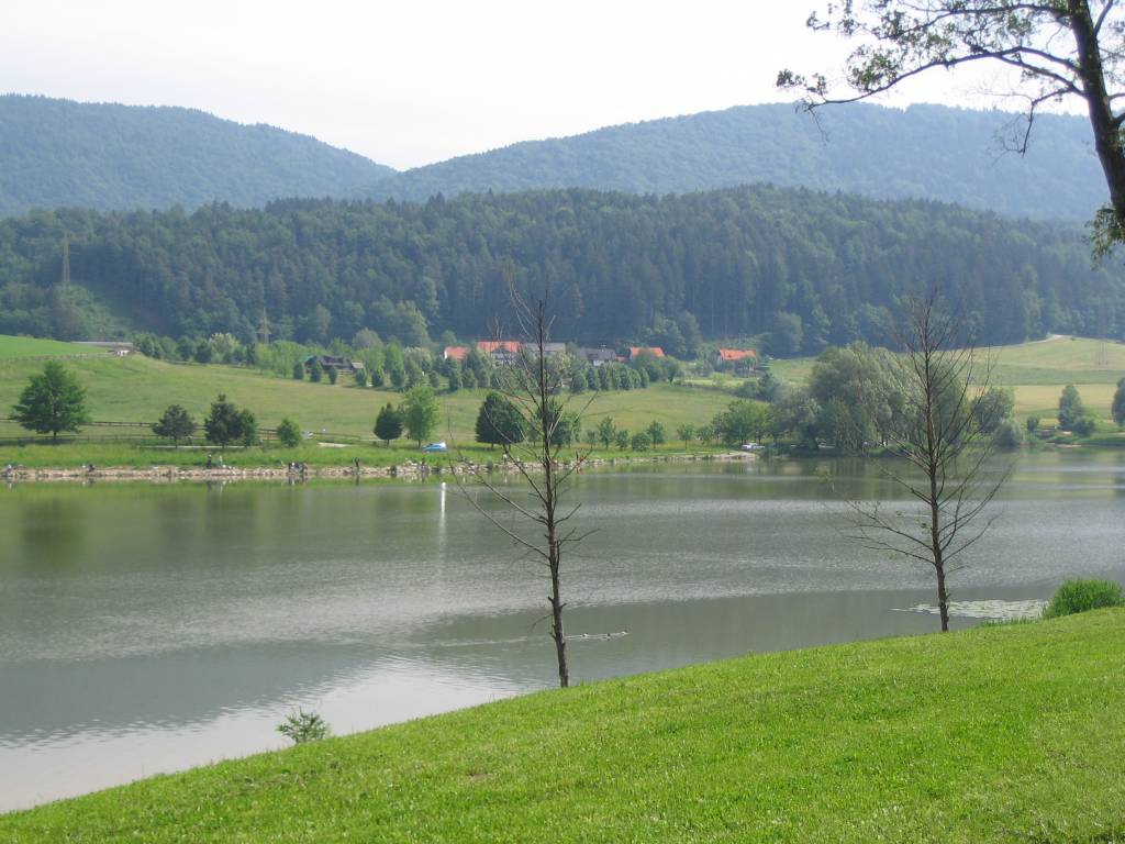The lake Škalsko jezero - Fishing family Velenje - Fly fishing, fishing ...