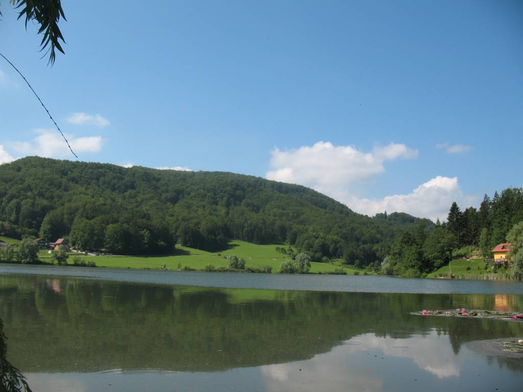 Slivniško jezero - Ribiška družina Voglajna - Spletni nakup ribolovnih ...