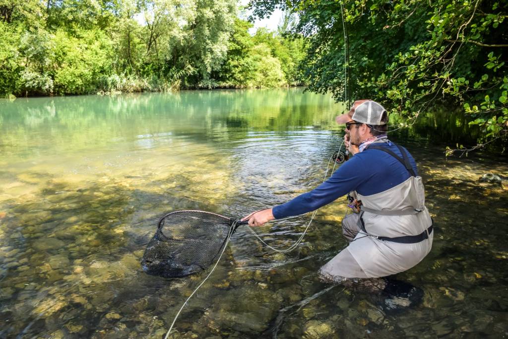 Reka Vipava (Od starega mostu v Vipavi do jezu pod Brjami) - Ribiška ...