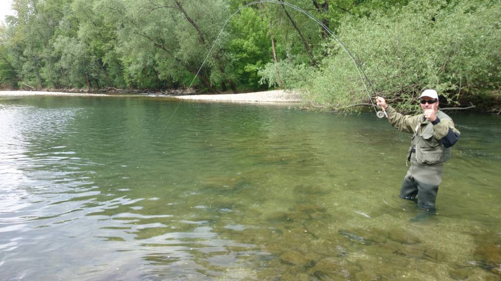 Reka Vipava (Od starega mostu v Vipavi do jezu pod Brjami) - Ribiška ...