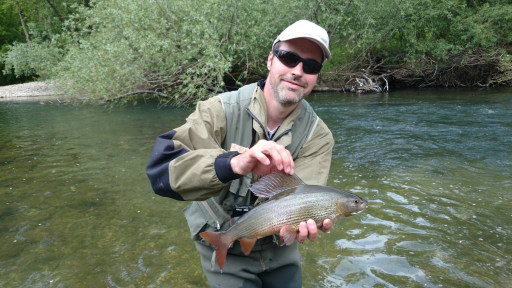 Reka Vipava (Od starega mostu v Vipavi do jezu pod Brjami) - Ribiška ...