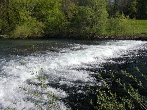 Reka Vipava (Od starega mostu v Vipavi do jezu pod Brjami) - Ribiška ...
