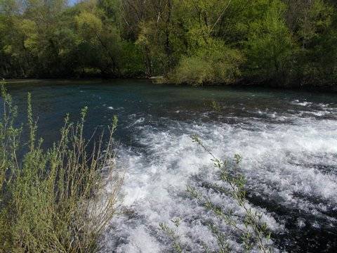 Reka Vipava (Od starega mostu v Vipavi do jezu pod Brjami) - Ribiška ...