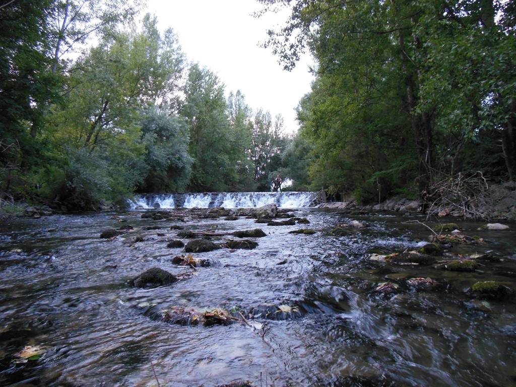 Reka Vipava (Od starega mostu v Vipavi do jezu pod Brjami) - Ribiška ...