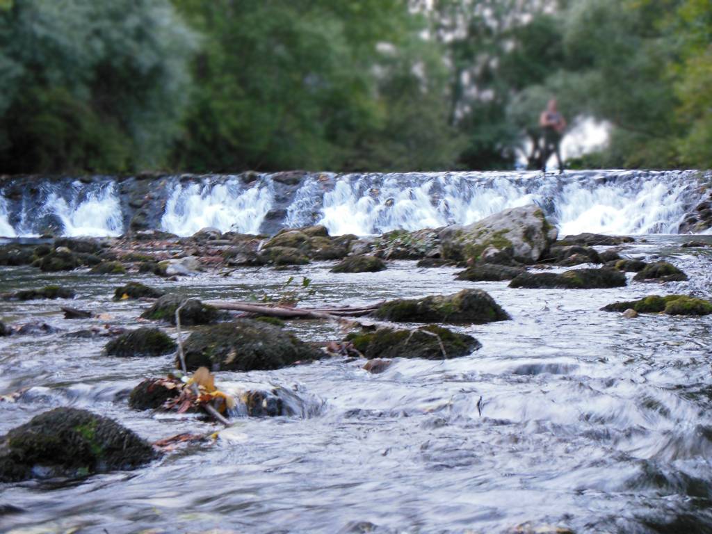Reka Vipava (Od starega mostu v Vipavi do jezu pod Brjami) - Ribiška ...