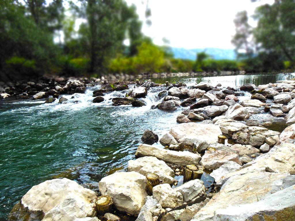 Reka Vipava (Od starega mostu v Vipavi do jezu pod Brjami) - Ribiška ...