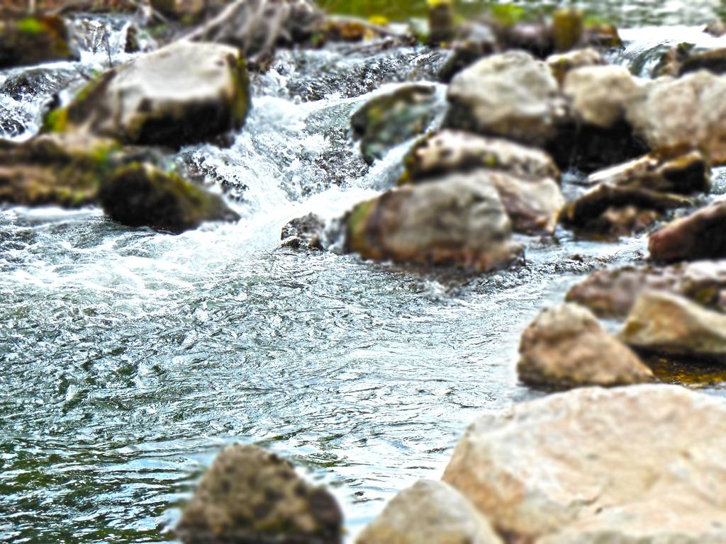 Reka Vipava (Od starega mostu v Vipavi do jezu pod Brjami) - Ribiška ...
