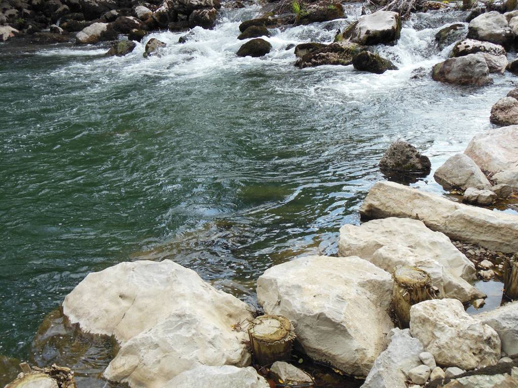 Reka Vipava (Od starega mostu v Vipavi do jezu pod Brjami) - Ribiška ...