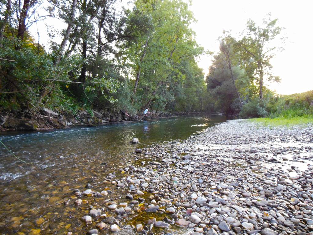 Reka Vipava (Od starega mostu v Vipavi do jezu pod Brjami) - Ribiška ...