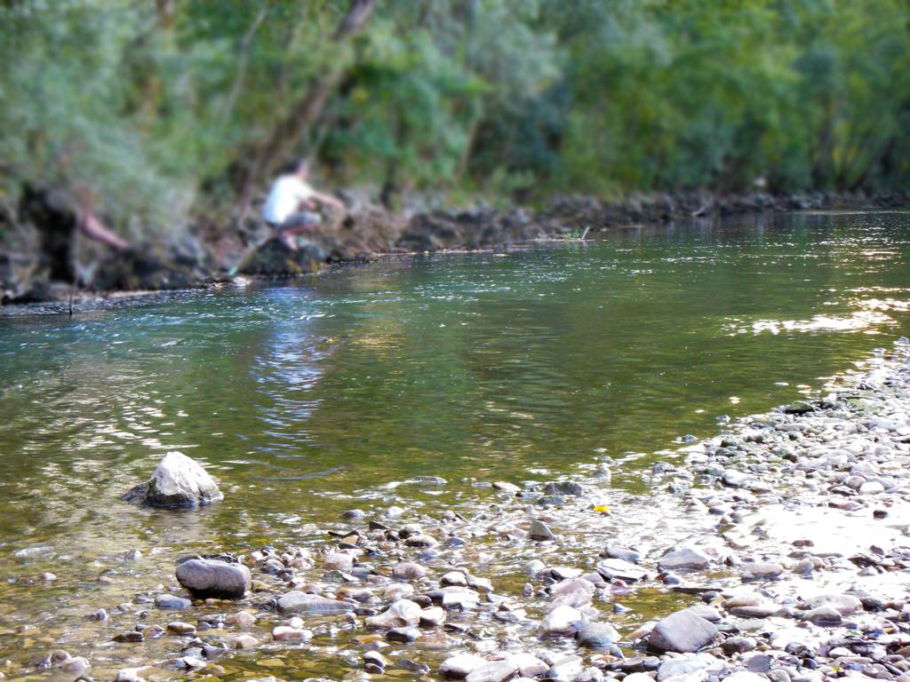Reka Vipava (Od starega mostu v Vipavi do jezu pod Brjami) - Ribiška ...
