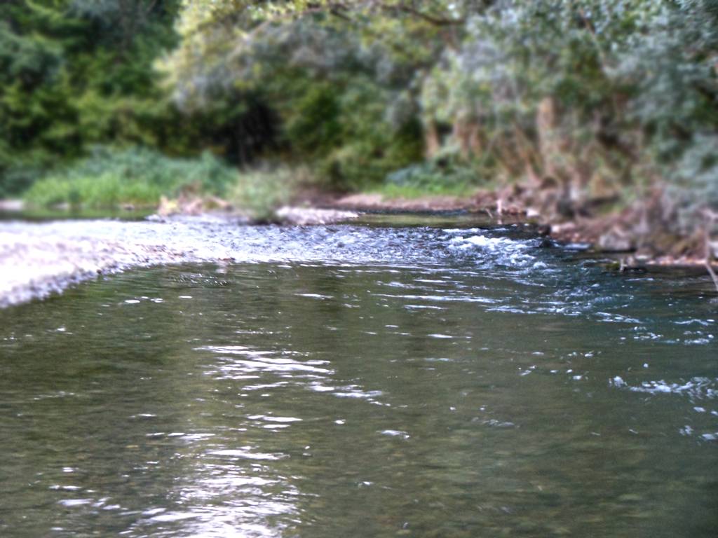 Reka Vipava (Od starega mostu v Vipavi do jezu pod Brjami) - Ribiška ...