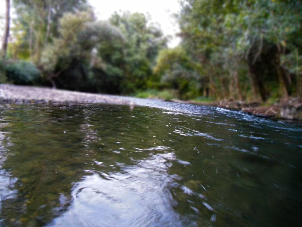 Reka Vipava (Od starega mostu v Vipavi do jezu pod Brjami) - Ribiška ...