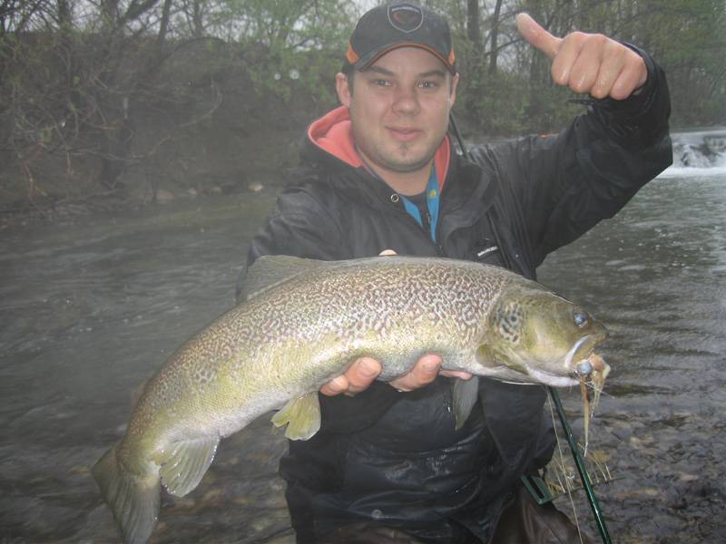 Reka Vipava (Od starega mostu v Vipavi do jezu pod Brjami) - Ribiška ...