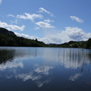 Rauschelesee - Verwalter Gemeinde Keutschach am See - Die größte ...