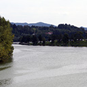 Ciprinidi - nočna - Reka Sava (Od podvoza v Suhadolu do HE Vrhovo ...