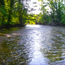 Reka Vipava (Od jezu v Kasovljah/Brje do otoka pod vasjo Selo ...